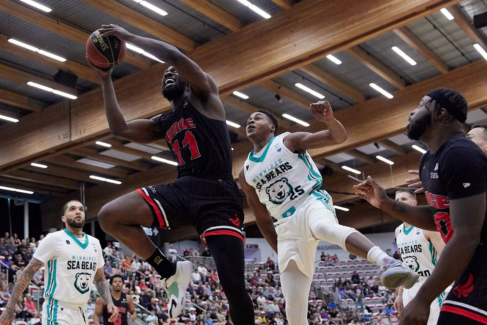 Simisola Shittu est le nouveau pivot du Limoges CSP - BeBasket