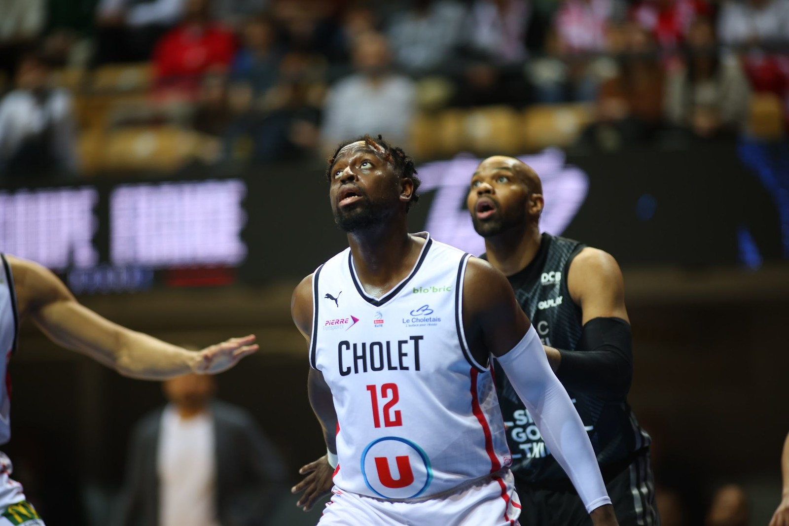 Boris Dallo (Cholet) : "Il faut se remobiliser" - BeBasket