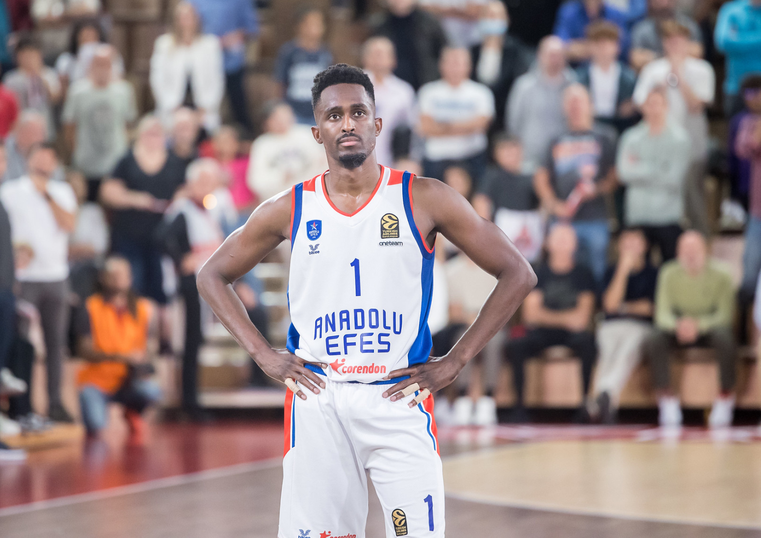L'Anadolu Efes en négociation pour continuer l'aventure avec Rodrigue ...